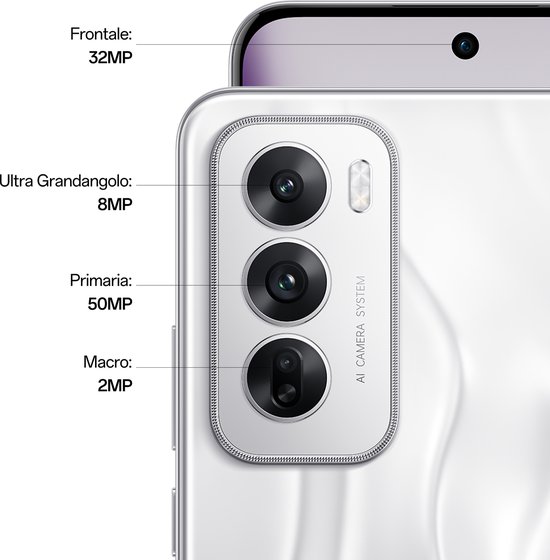 Oppo Reno 12 5G Dual Sim 12/256GB Astro Silver | bol