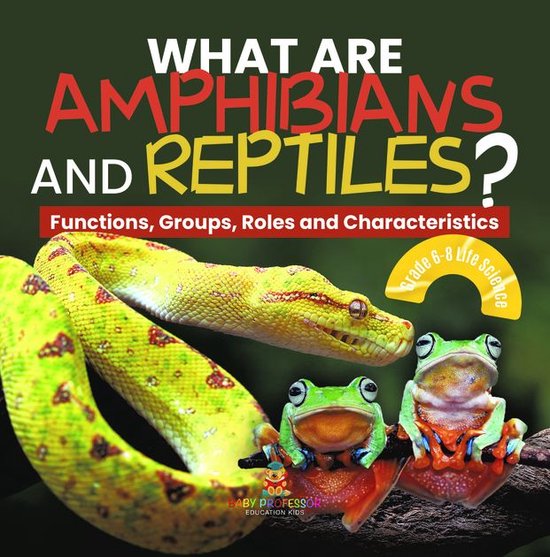 What are Amphibians and Reptiles? Functions, Groups, Roles and ...