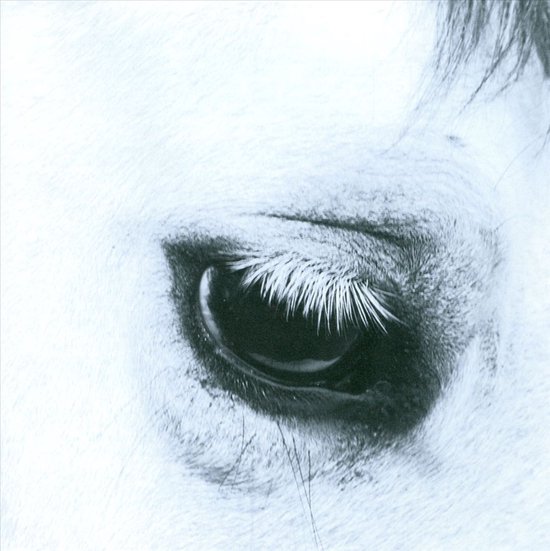 Creepoid - Horse Heaven (CD), Creepoid | CD (album) | Muziek | bol.com