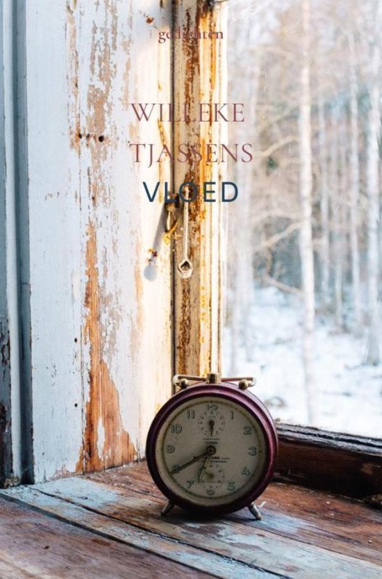 Vloed, Willeke Tjassens | 9789464184563 | Boeken | bol