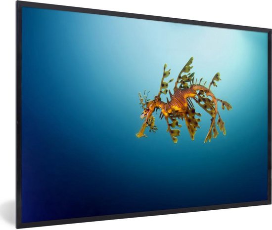 Fotolijst incl. Poster - Rafelvis in de felblauwe zee - 120x80 cm ...