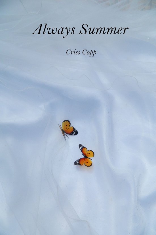 Always Summer (ebook), Criss Copp | 9781301802807 | Boeken | bol.com
