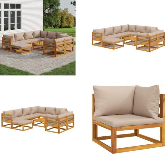 vidaXL 10-delige Loungeset met kussens massief hout taupe - Loungeset ...