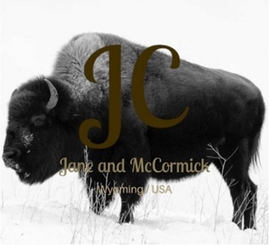 JC / Jane and McCormick - Winter / Herfst handschoenen - effen zwart ...