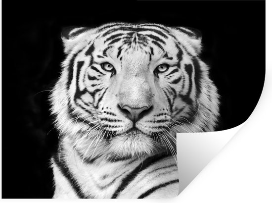 Muurstickers - Sticker Folie - Tijger - Zwart - Wit - Portret - Dieren - 120x90 cm -... | bol