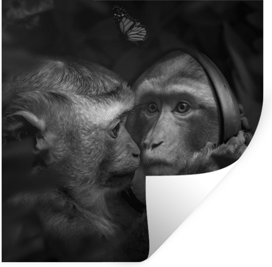 Muurstickers - Sticker Folie - Vlinder - Aap - Dieren - Jungle - Zwart - Wit - 50x50... | bol