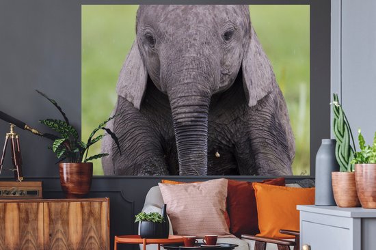 Muurstickers - Sticker Folie - Olifant - Baby - Dieren - Gras - Natuur ...