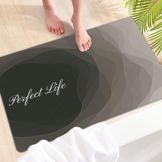 Super absorberende vloermat, 40 x 60 cm, vuilafstotende vloermat voor ...