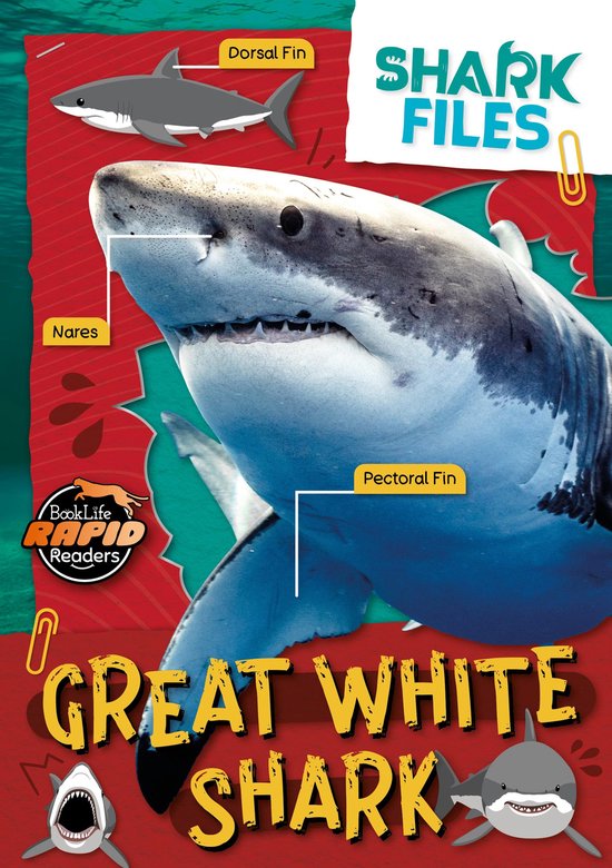 Shark Files- Great White Shark, Robin Twiddy | 9781805056843 | Boeken | bol