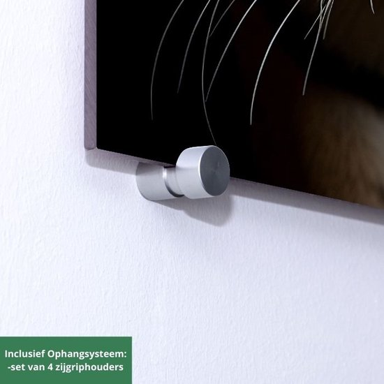 Indoorart - Glasschilderij tijger 100x150 CM - Afbeelding op plexiglas ...