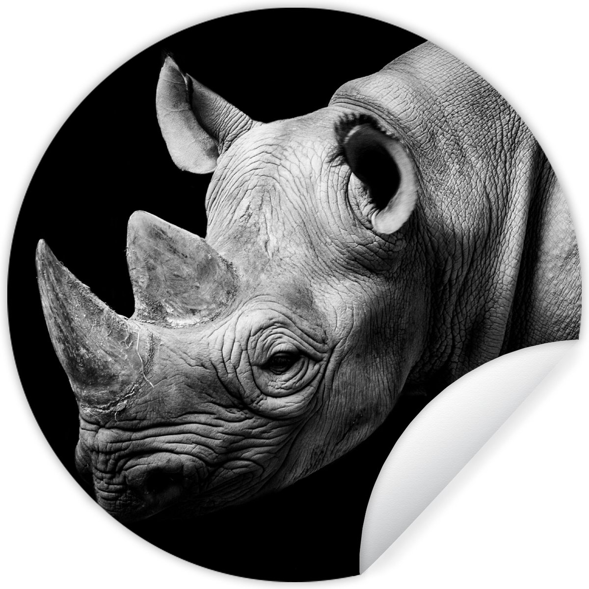 WallCircle - Behangcirkel - Zelfklevend behang - Dieren - Neushoorn - Zwart - Wit -... | bol