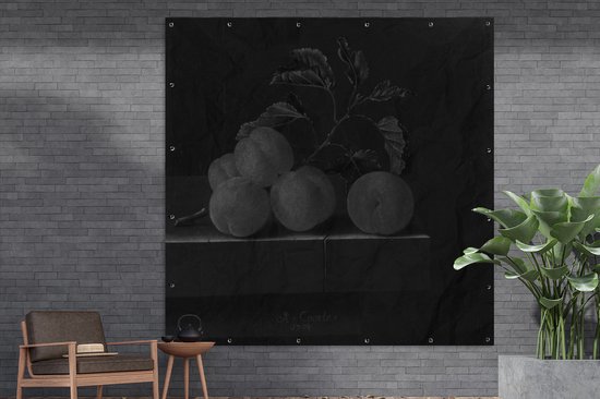 Tuin poster Stilleven met vijf abrikozen - schilderij van Adriaen ...