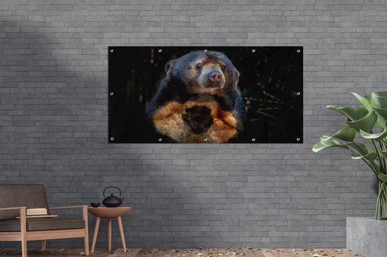 Schuttingposter Close-up van een Maleise beer - 200x100 cm - Tuindoek | bol
