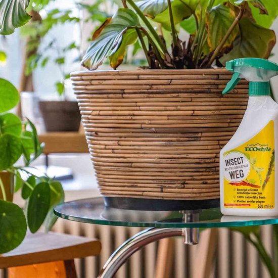 ECOstyle InsectWeg Gebruiksklaar - Effectief tegen Schadelijke Insecten ...