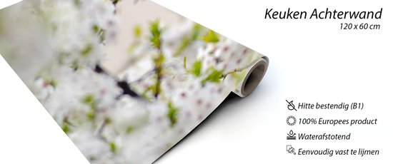 Keuken achterwand behang - Waterafstotend - Vogel - Koolmees - Bloemen ...