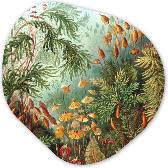 Organische Wanddecoratie - Kunststof Muurdecoratie- Organisch ...