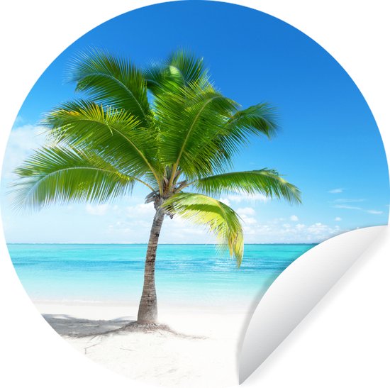 WallCircle - Behangcirkel - Behangsticker - Strand - Zee - Palmboom - Zelfklevend... | bol