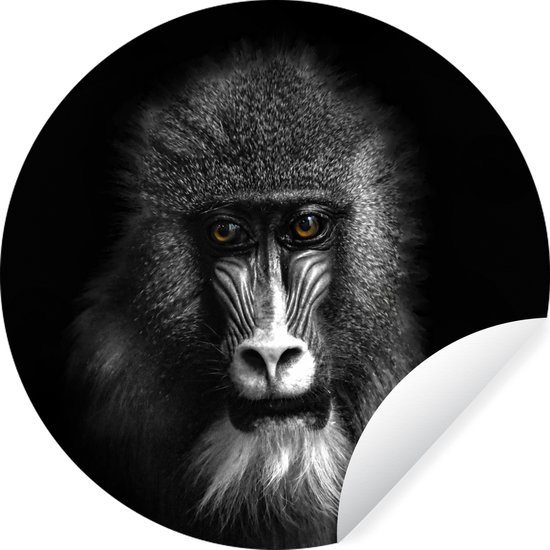Behangcirkel - Zelfklevend behang - Aap - Dier - Ogen - Bruin - Zwart-wit - 100x100 cm... | bol
