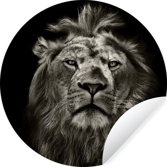 WallCircle - Behangcirkel - Wilde dieren - Leeuw - Zwart - Wit - Zelfklevend behang -... | bol