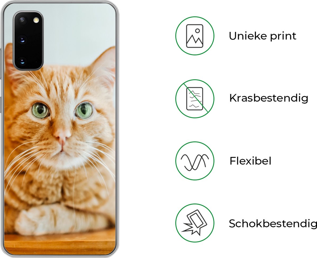 Samsung Galaxy S20 hoesje - Kat - Hout - Kast - Siliconen ...
