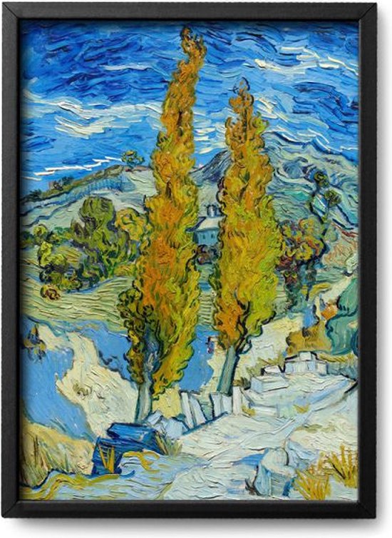 Poster Vincent van Gogh - A4 - 21 x 30 cm - Exclusief lijst | bol.com