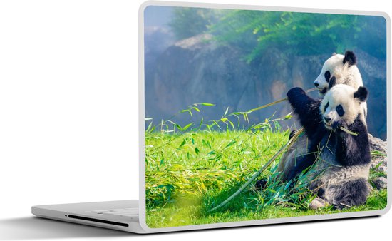 Laptop sticker - 14 inch - Panda - Bamboe - Gras - Dieren - 32x5x23x5cm ...