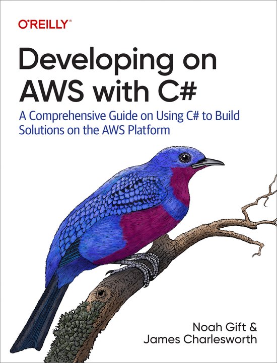 Developing on AWS with C# (ebook), Noah Gift | 9781492095835 | Boeken ...