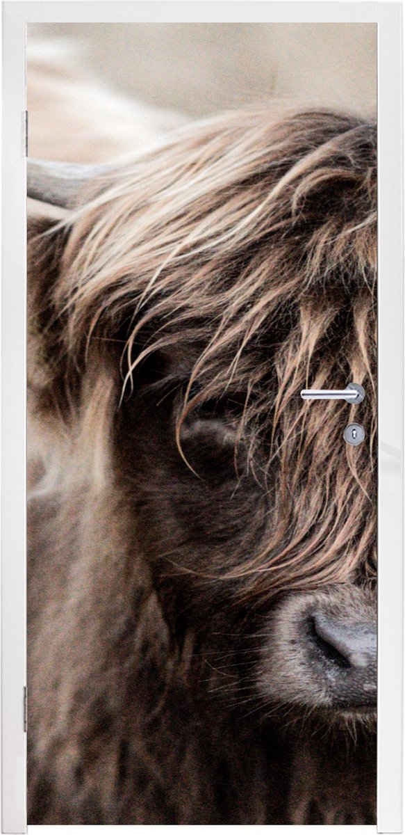 Deursticker Schotse hooglander - Vacht - Dier - 80x205 cm - Deurposter ...