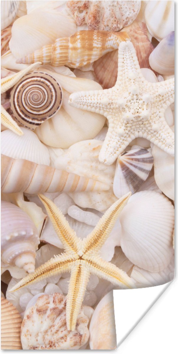 Poster Zeesterren - Schelpen - Strand - Zomer - 60x120 cm | bol.com