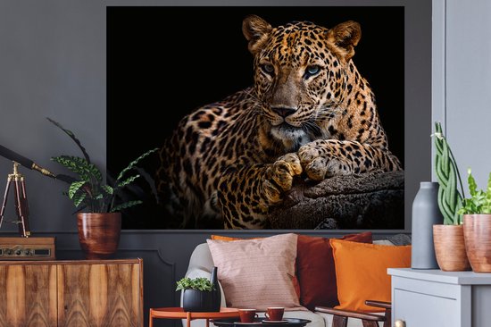 Muurstickers - Sticker Folie - Wilde dieren - Panter - Portret - Zwart - Dieren -... | bol