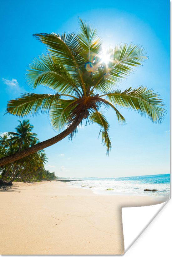 Poster Strand - Zee - Zon - Palmboom - 20x30 cm | bol.com