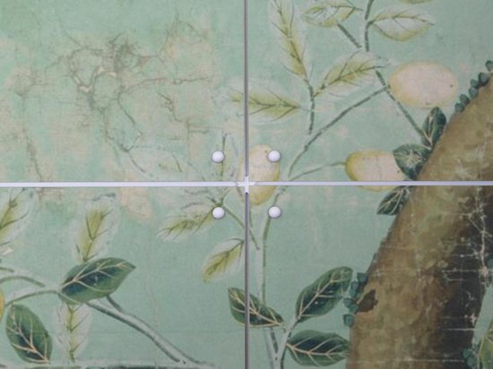 IXXI Panel of a Chinese Wallpaper, Victoria and Albert Museum - 60 x 80 ...