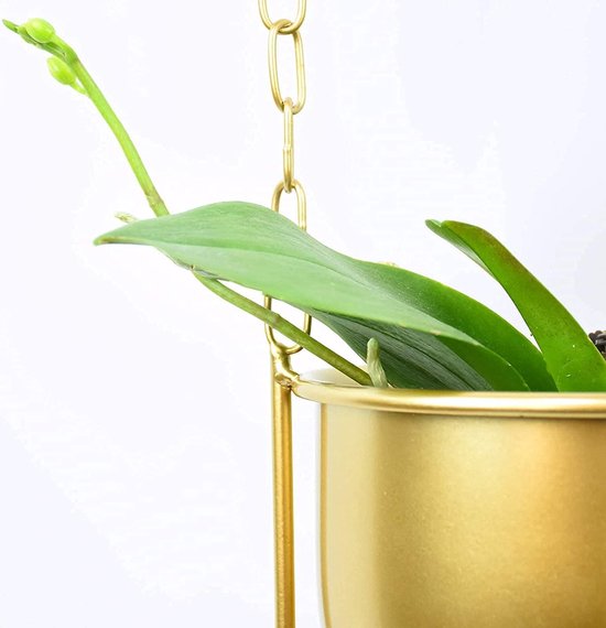 Hangende decoratiepot - boho-hangmand - 1 stuk - goud - metaal | bol