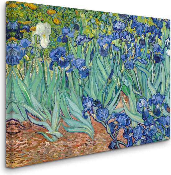 Vincent van Gogh - Irises - Irissen - 2:3 | bol