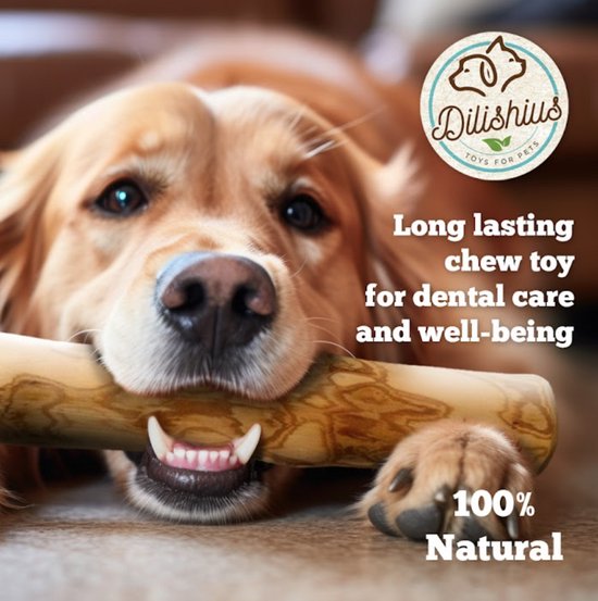 Dilishius Koffie wortel hout , natuurlijke houten speelgoed voor kleine ...