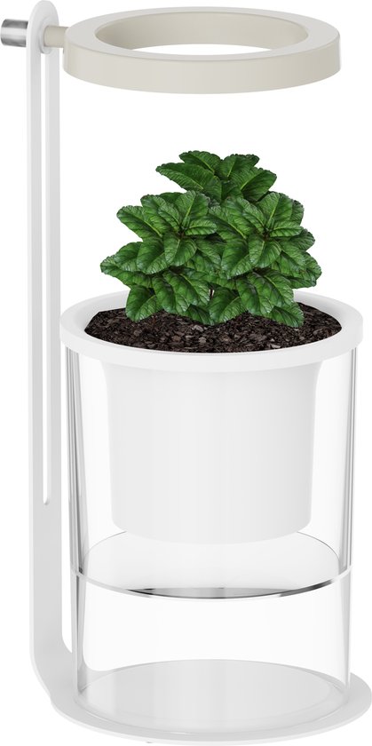 HomeGreens GrowMini - Slim Binnentuin Systeem met LED Verlichting ...