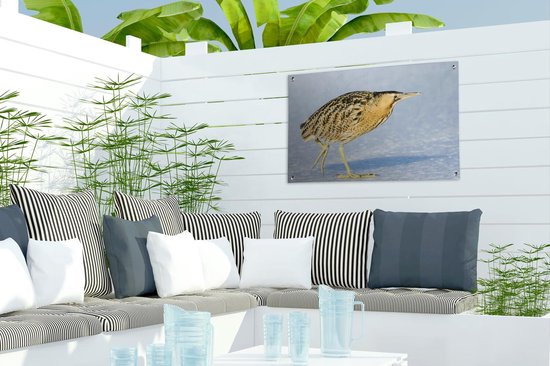 Tuindecoratie Een roerdomp loopt over het ijs - 60x40 cm - Tuinposter ...