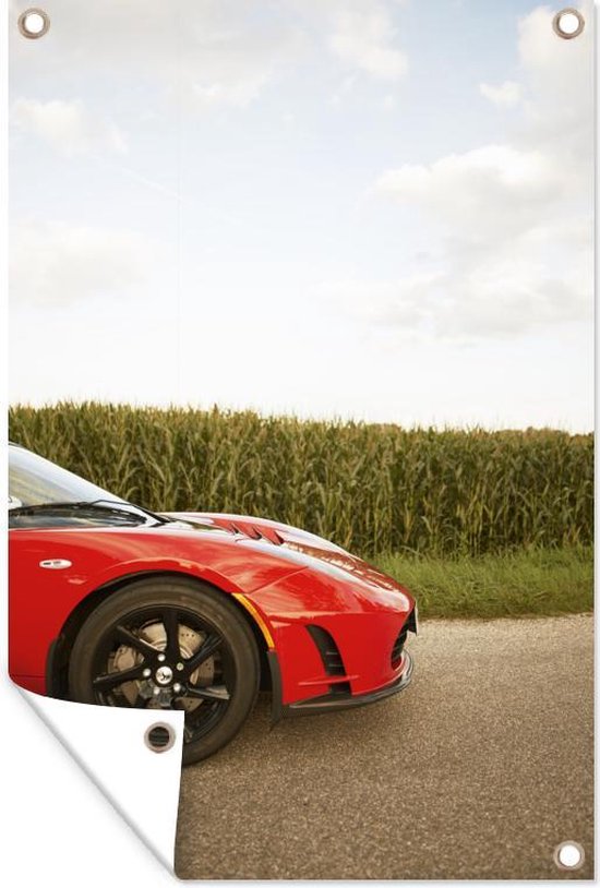 Muurdecoratie Rode Tesla - 120x180 cm - Tuinposter | bol.com
