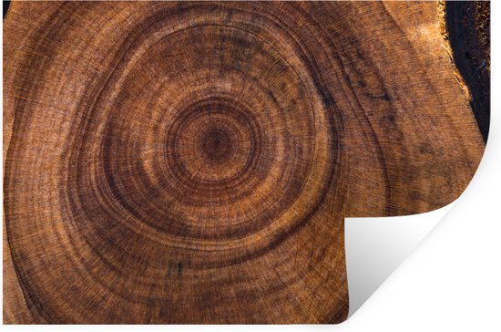 Muurstickers - Sticker Folie - Cirkel - Hout - Ringen - 60x40 cm ...