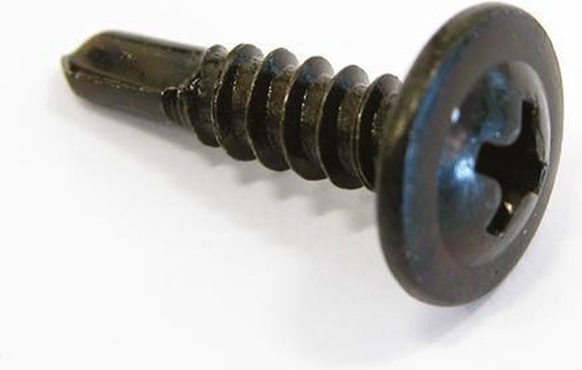 Carpoint Schroef Zelftappend Zwart Ø4mm 19mm 100 stuks | bol.com