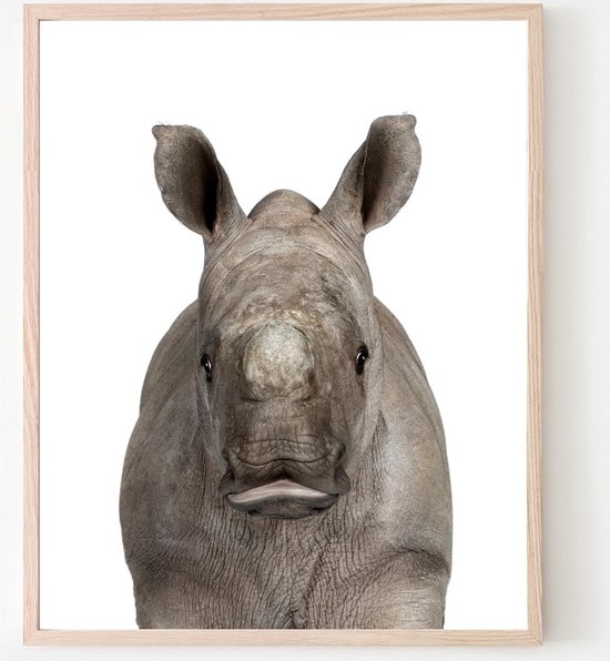 Poster Jungle / Safari Baby Neushoorn - 70x50cm - Baby / Kinderkamer ...