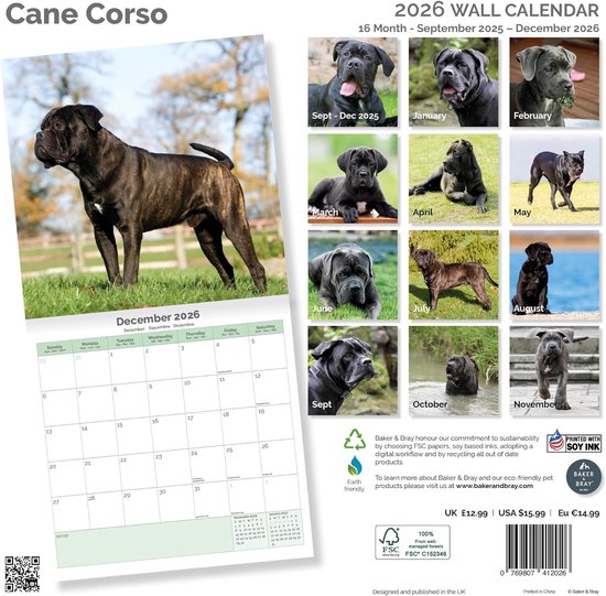 Cane Corso Kalender 2026 | bol