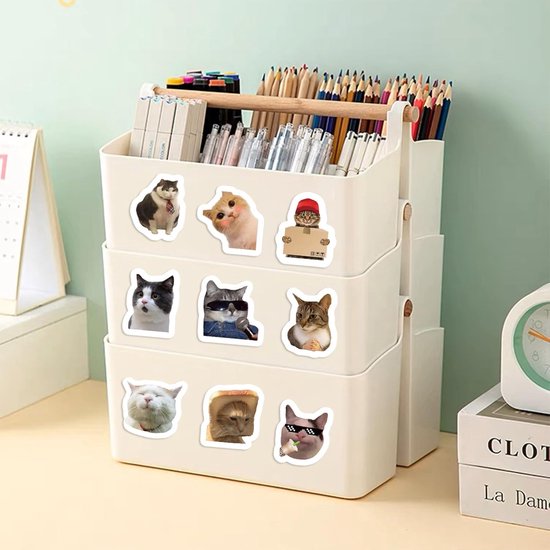 500 Gekke Kat Stickers - Grappige Sticker - Humor - Kado - Poes ...