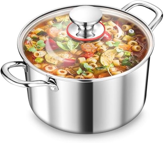 Kookpan groot, 24 cm, 3-laags roestvrij staal, 5,7 l pan met glazen ...