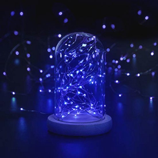 3 m LED Sfeerverlichting voor Binnen en Buiten - 30 Micro LEDs ...