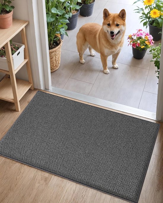 Antislip Schoonloopmat voor Binnen en Buiten - Machinewasbare Deurmat ...