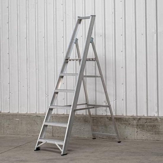 Industriële Platform Trapladder 6-traps - Stevige en Veilige Ladder | bol