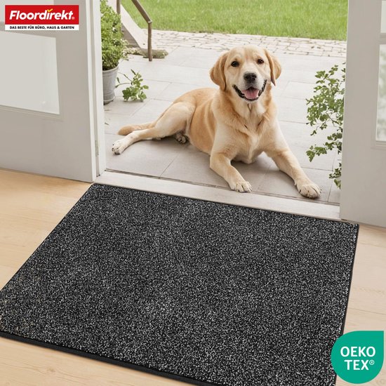 FLOORDIREKT Schoonloopmat Nasa - Zachte & Waterabsorberende Deurmat ...