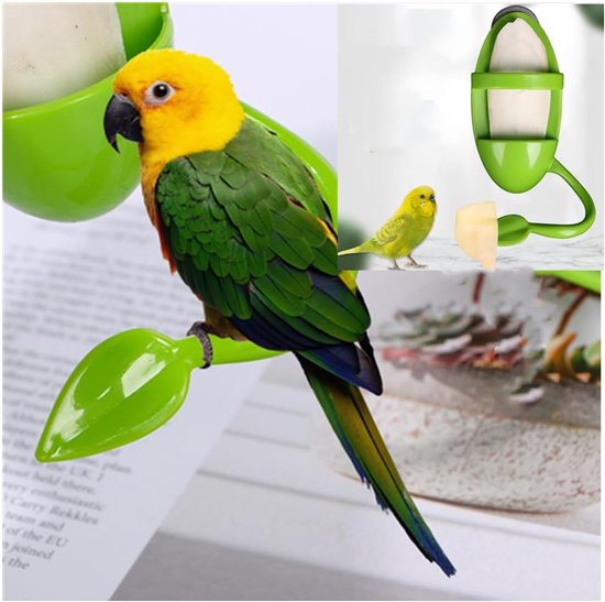 Cuttlebone Houder 3 Pack - Vogelhouders met Plastic Perches voor ...