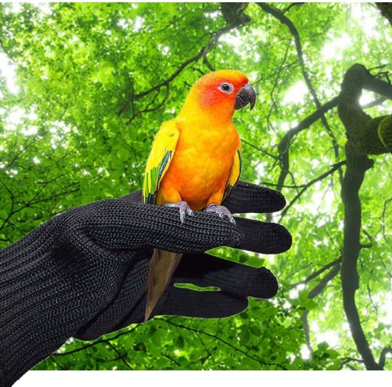 Beschermende Handschoenen voor Vogeltraining - Anti Bijthandschoenen ...